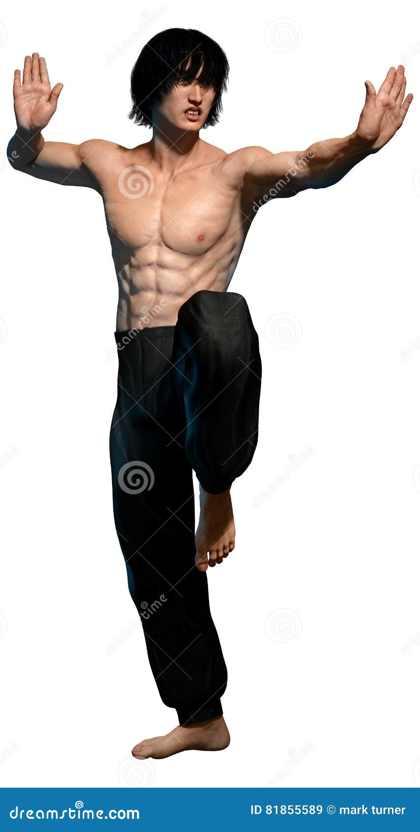 Kung fu martial artist stock image. Image of artist, unarmed - 81855589