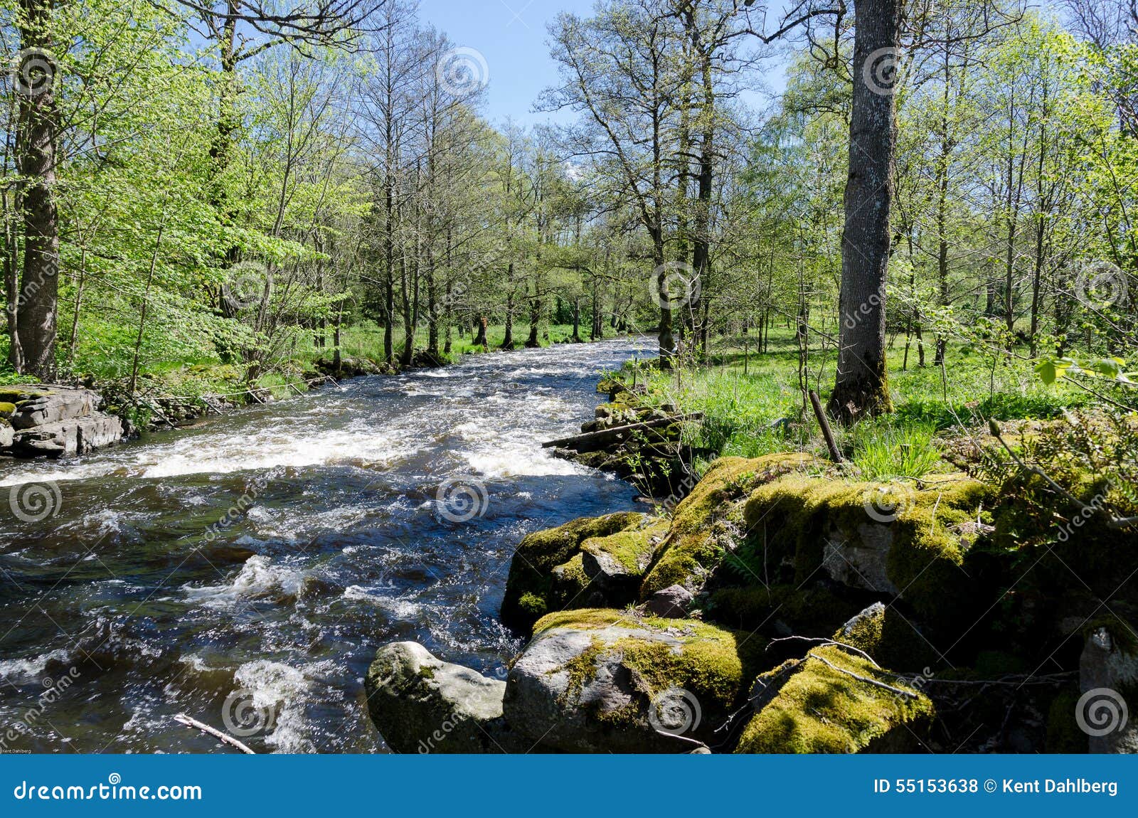 Kungsbacka river stock photo. Image of scenics, idyllic - 55153638