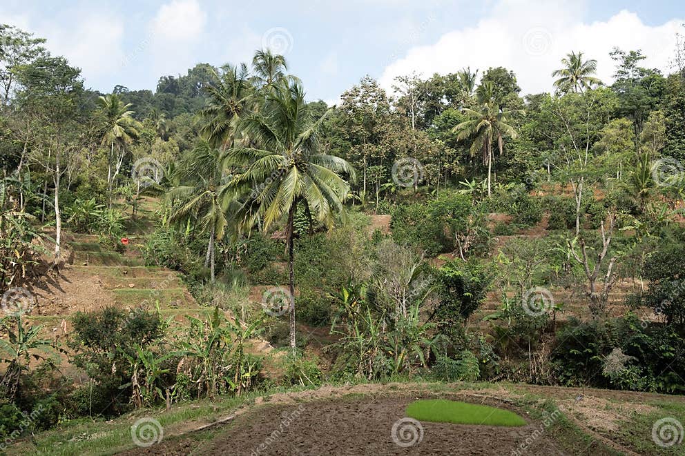 Kuningan west java stock photo. Image of background - 290409740
