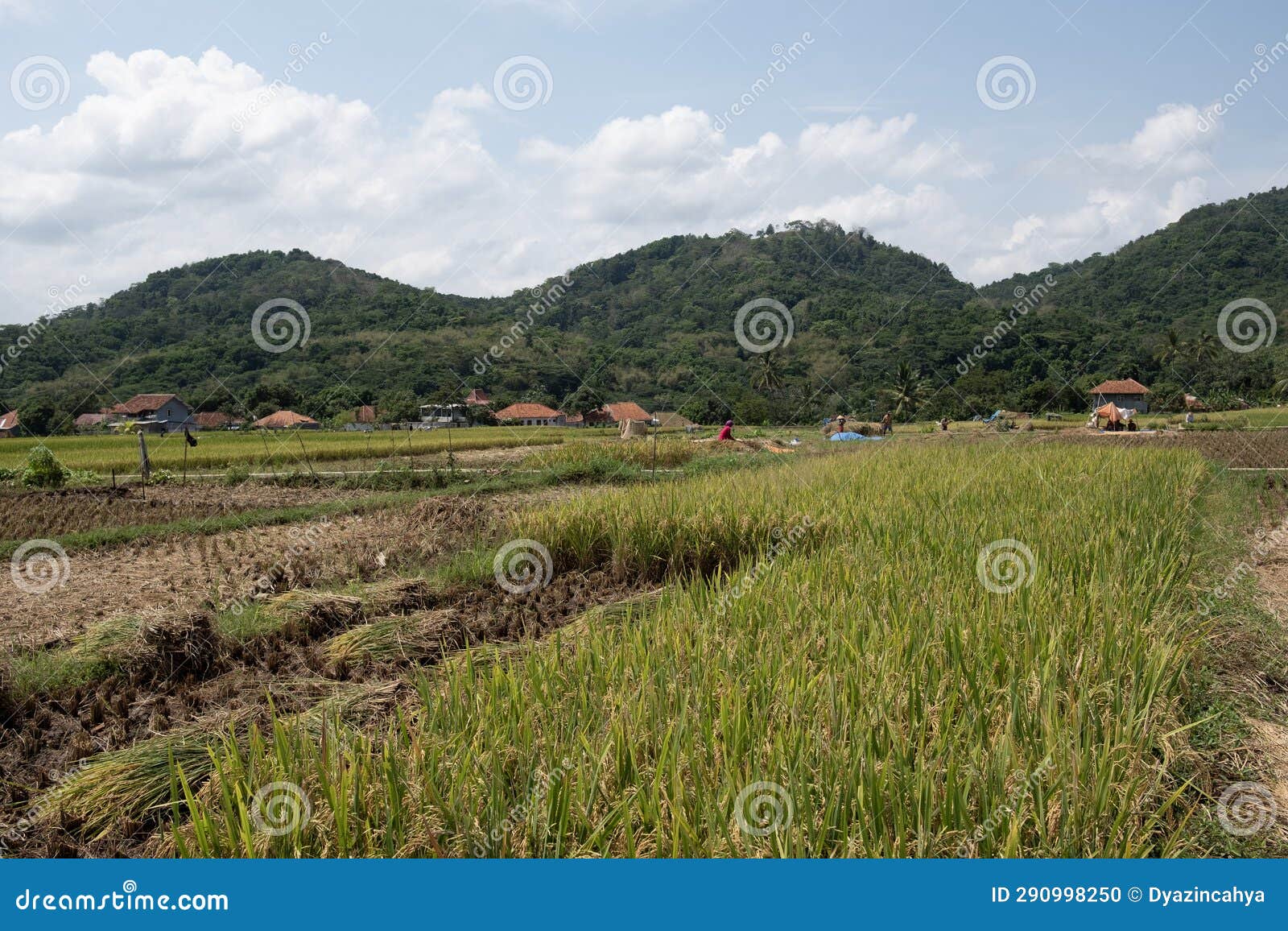Kuningan west java stock photo. Image of countryside - 290998250