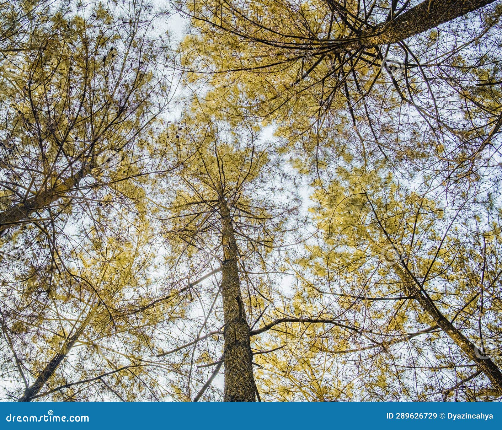 Kuningan west java stock image. Image of autumn, nature - 289626729