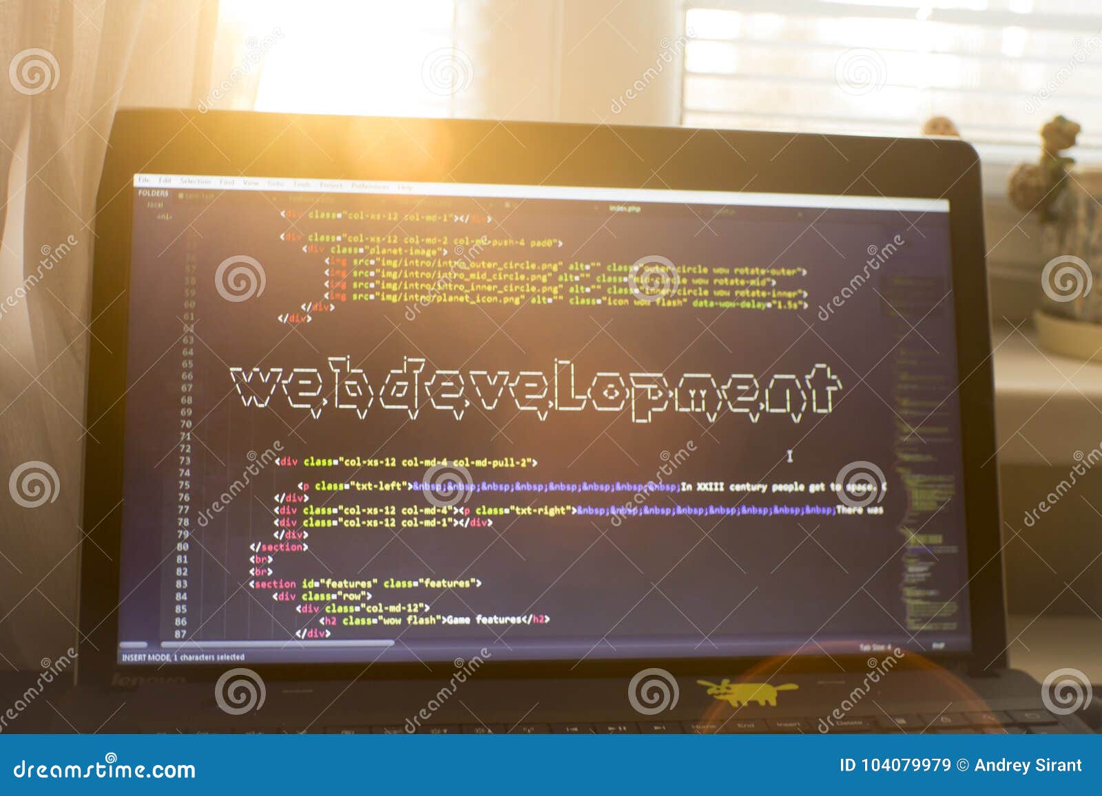 Kunst Der Web-Entwicklungs-Phrase ASCII Innerhalb HTML-Codes Web ...