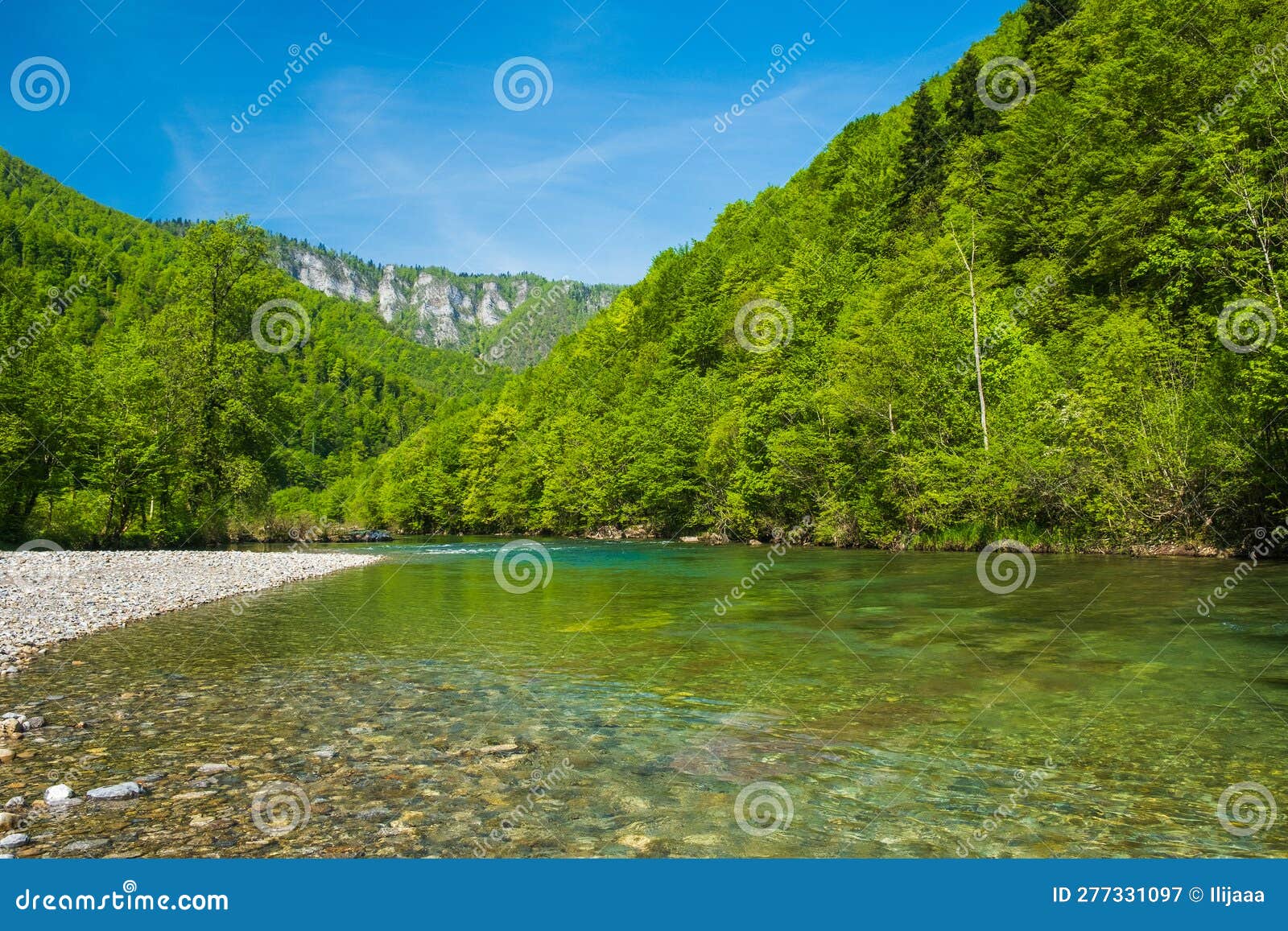 Kupa River in Spring, Gorski Kotar, Croatia Stock Image - Image of ...