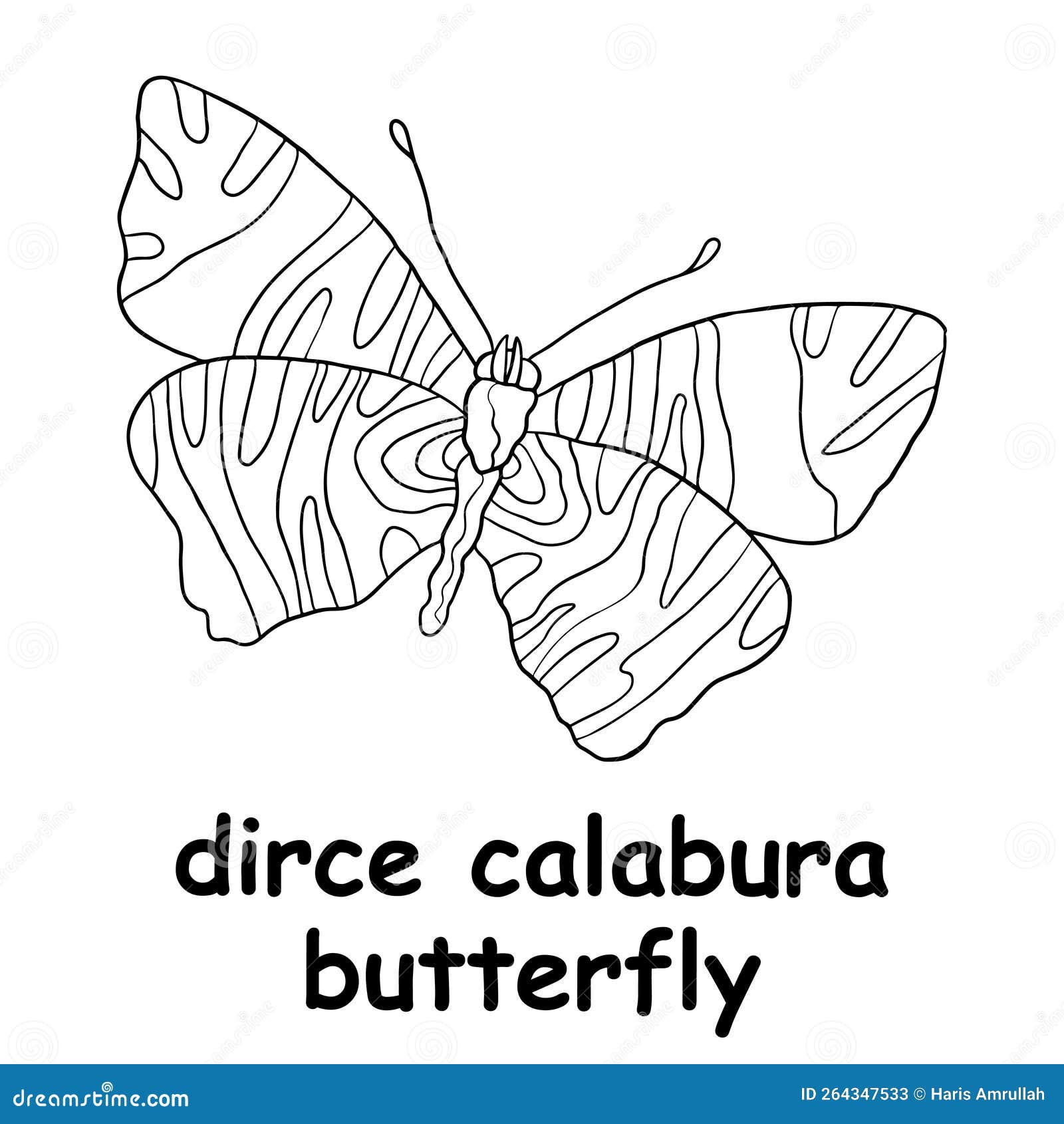 Dirce Stock Illustrations – 1 Dirce Stock Illustrations, Vectors ...