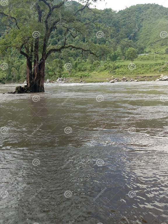 Kurung river at india stock image. Image of line, kurung - 185441245
