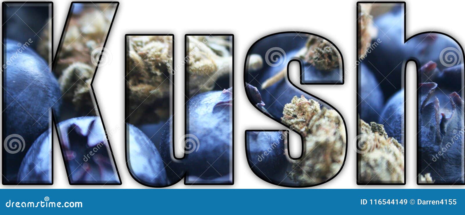 Kush Logo with Bud & Blueberries Inside Lettering Stock Illustration ...