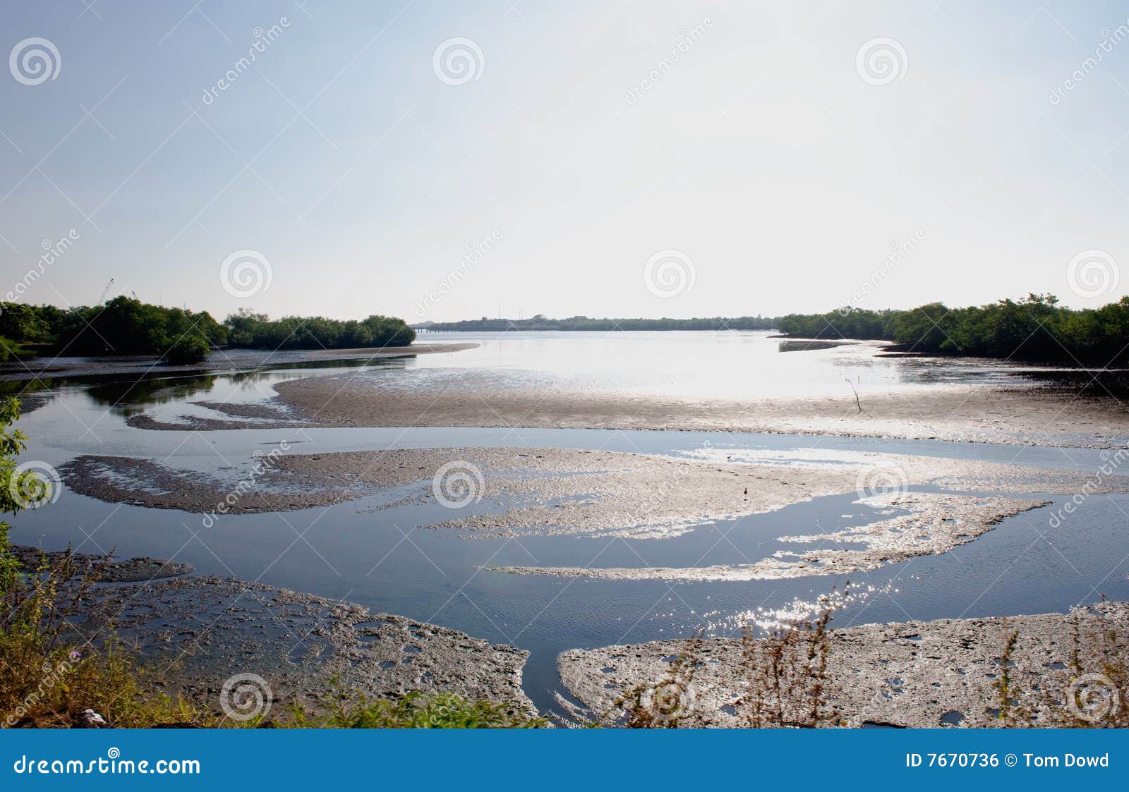 Kust estuarium of waterweg stock foto. Image of vlezig - 7670736