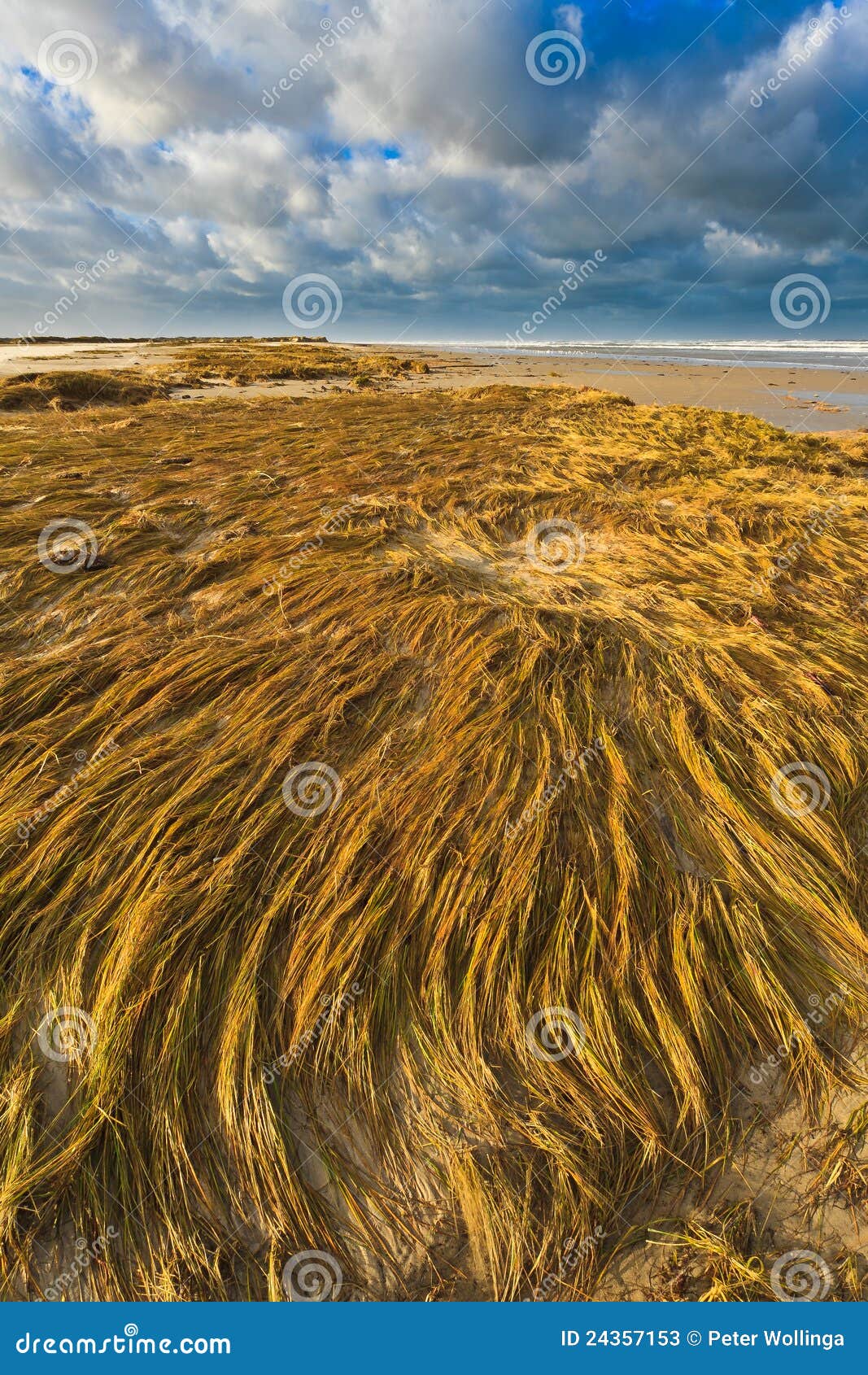 Kust Met Duingras Bij Zonsondergang Stock Afbeelding - Image of ...