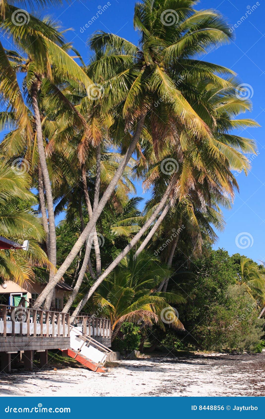 Kuto Beach stock photo. Image of france, south, veranda - 8448856