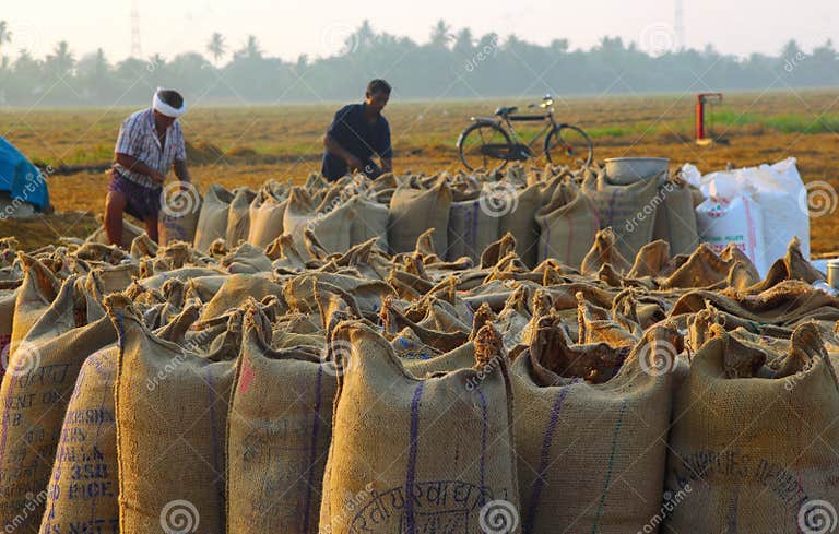 Kuttanadu, Kerala. redactionele stock afbeelding. Image of boot - 34920654