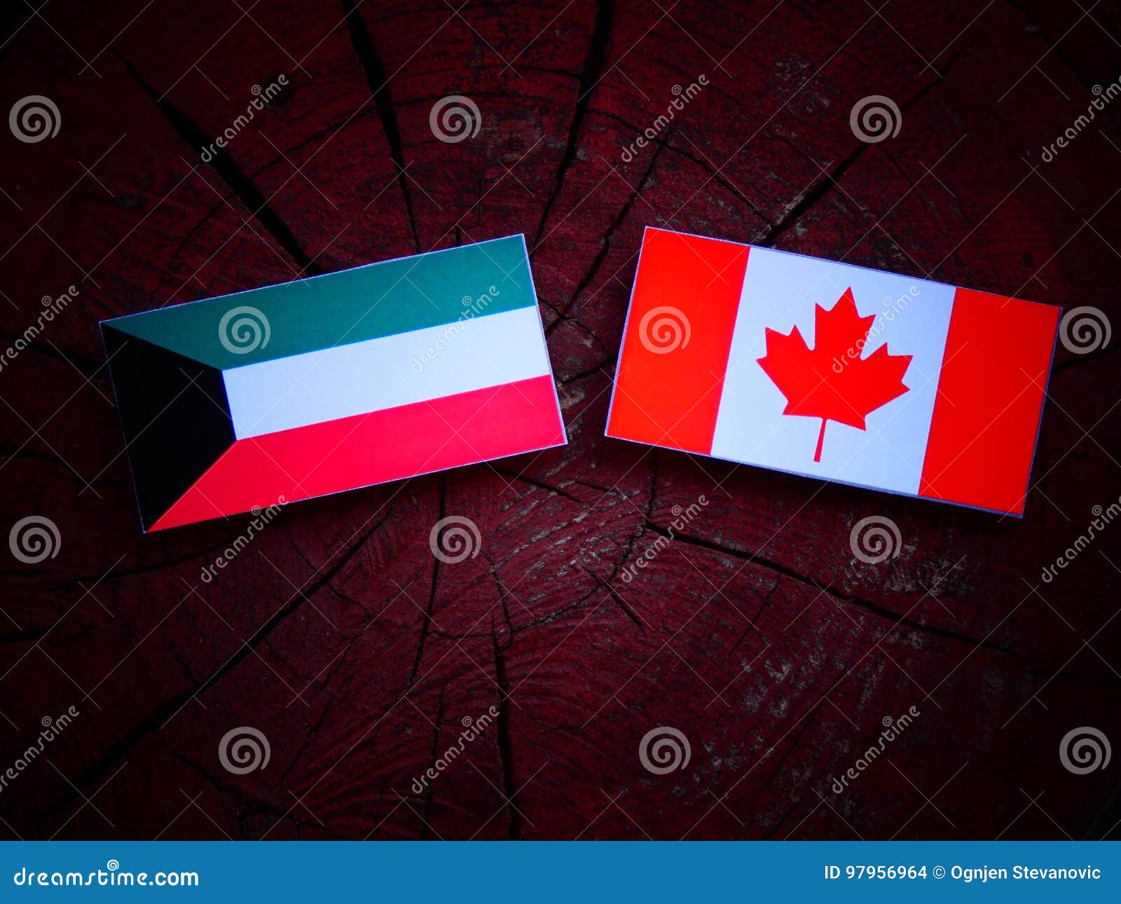Kuwaiti Flag with Canadian Flag on a Tree Stump Isolated Stock Photo ...