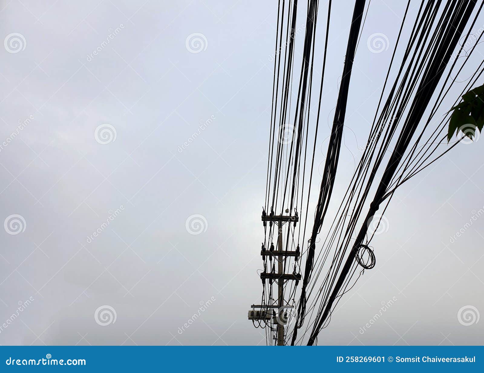 22kV Electrical Power Distribution Lines. Stock Image - Image of ...