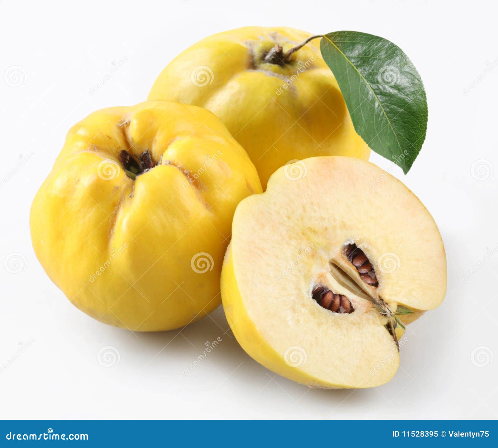 Kweepeer stock afbeelding. Image of knippen, groen, najaar - 11528395