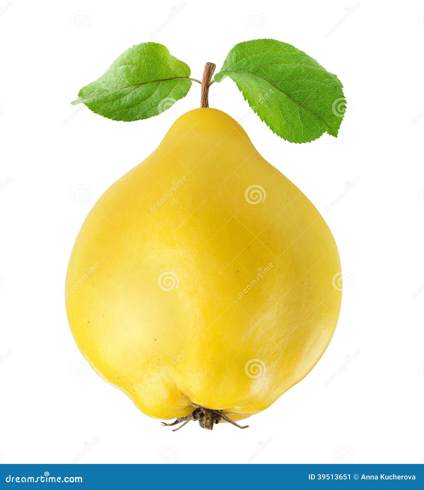 Kweepeer stock afbeelding. Image of ingrediënt, gezond - 39513651