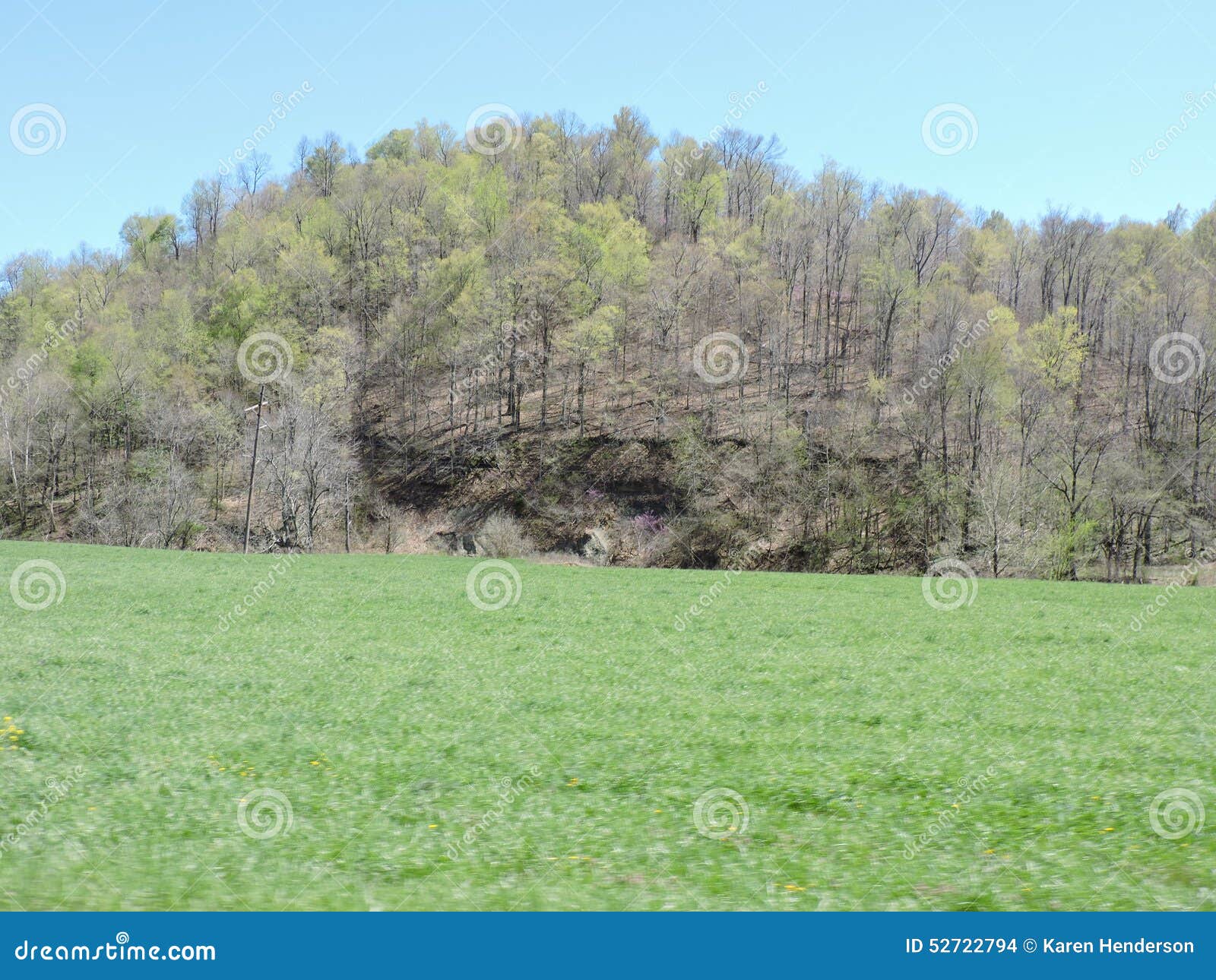 KY in the spring stock photo. Image of spring, grass - 52722794