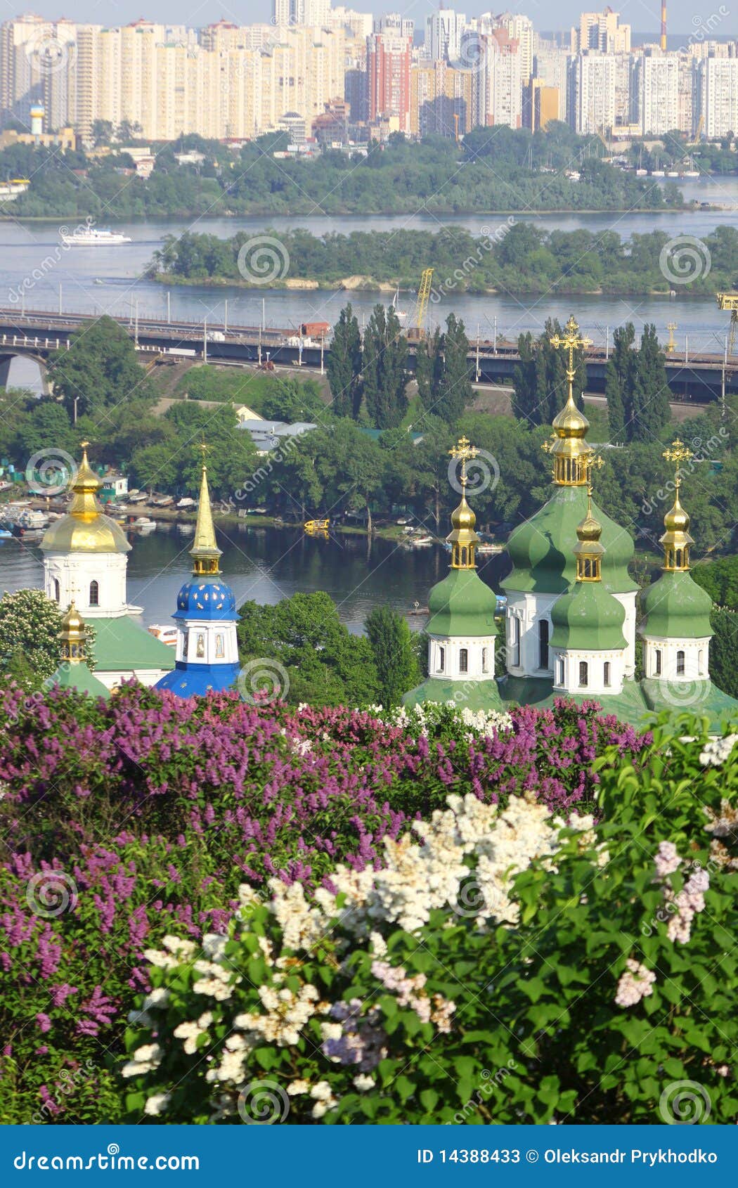Kyiv Botanic Garden in Spring Stock Image - Image of golden, flower ...