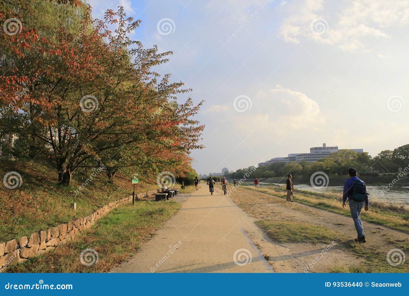 Kyoto, Japan Kamo River in Fall Seaon Stock Photo - Image of japan ...