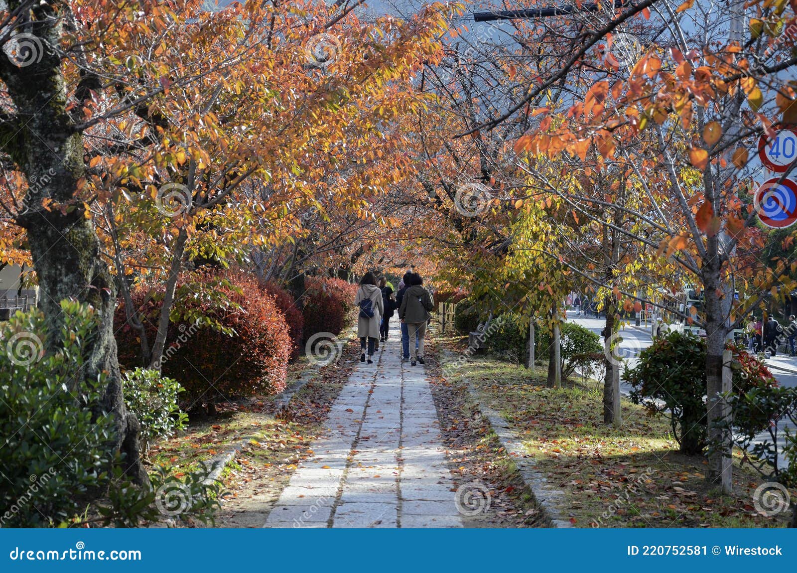 Philosopher S Path with Autumn Leave in Kyoto Editorial Photo - Image ...