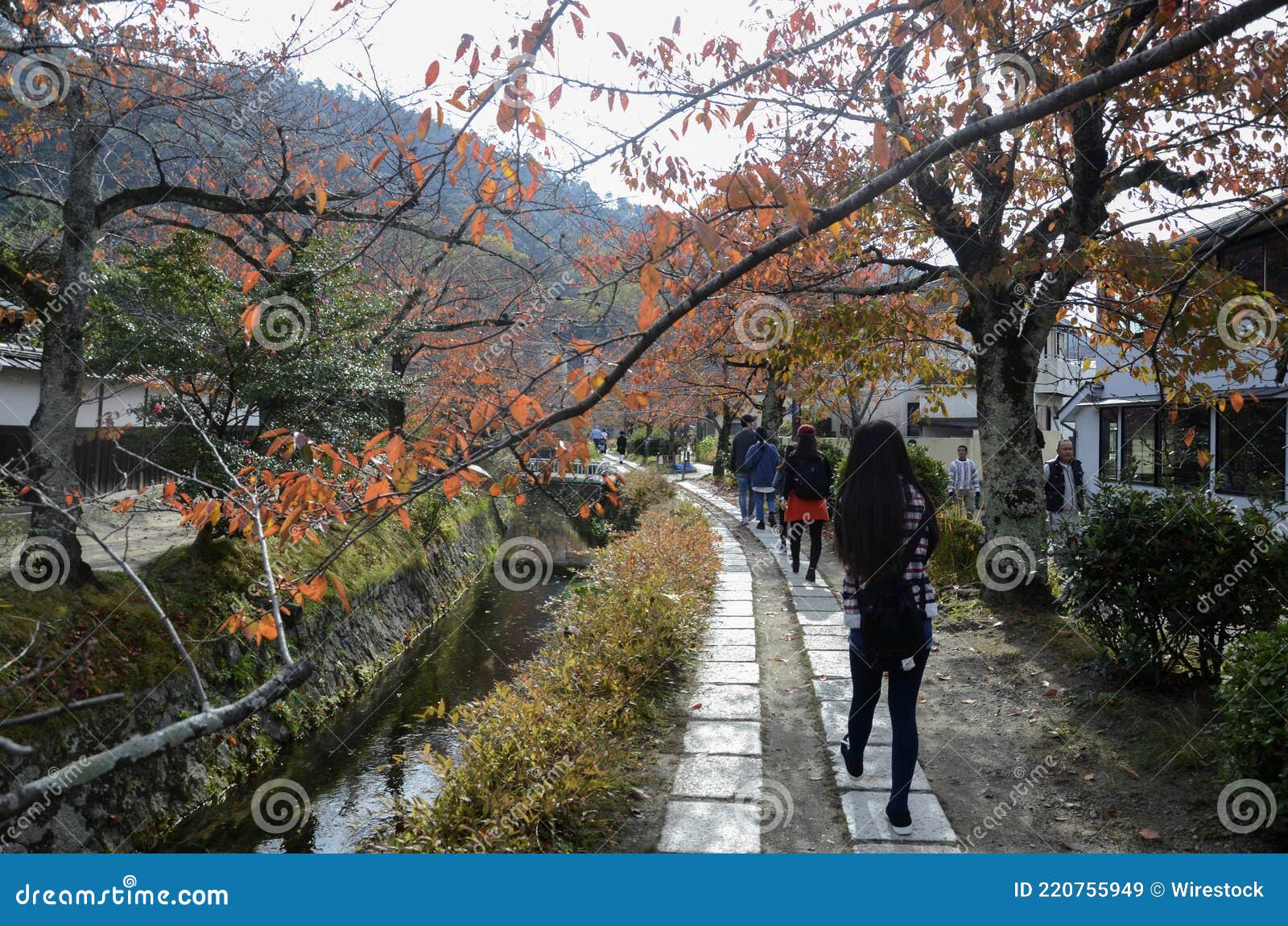 Philosopher S Path with Autumn Leave in Kyoto Editorial Stock Image ...