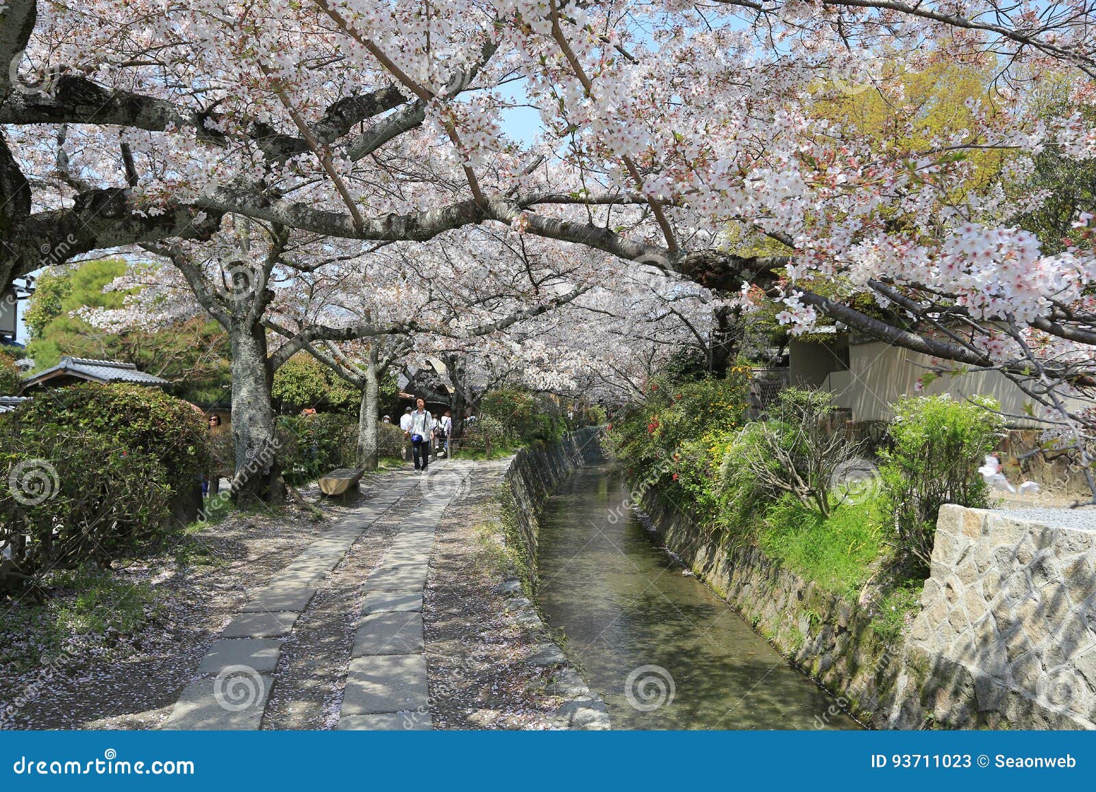 Kyoto, Japan at Philosopher& X27;s Walk in the Springtime. Editorial ...