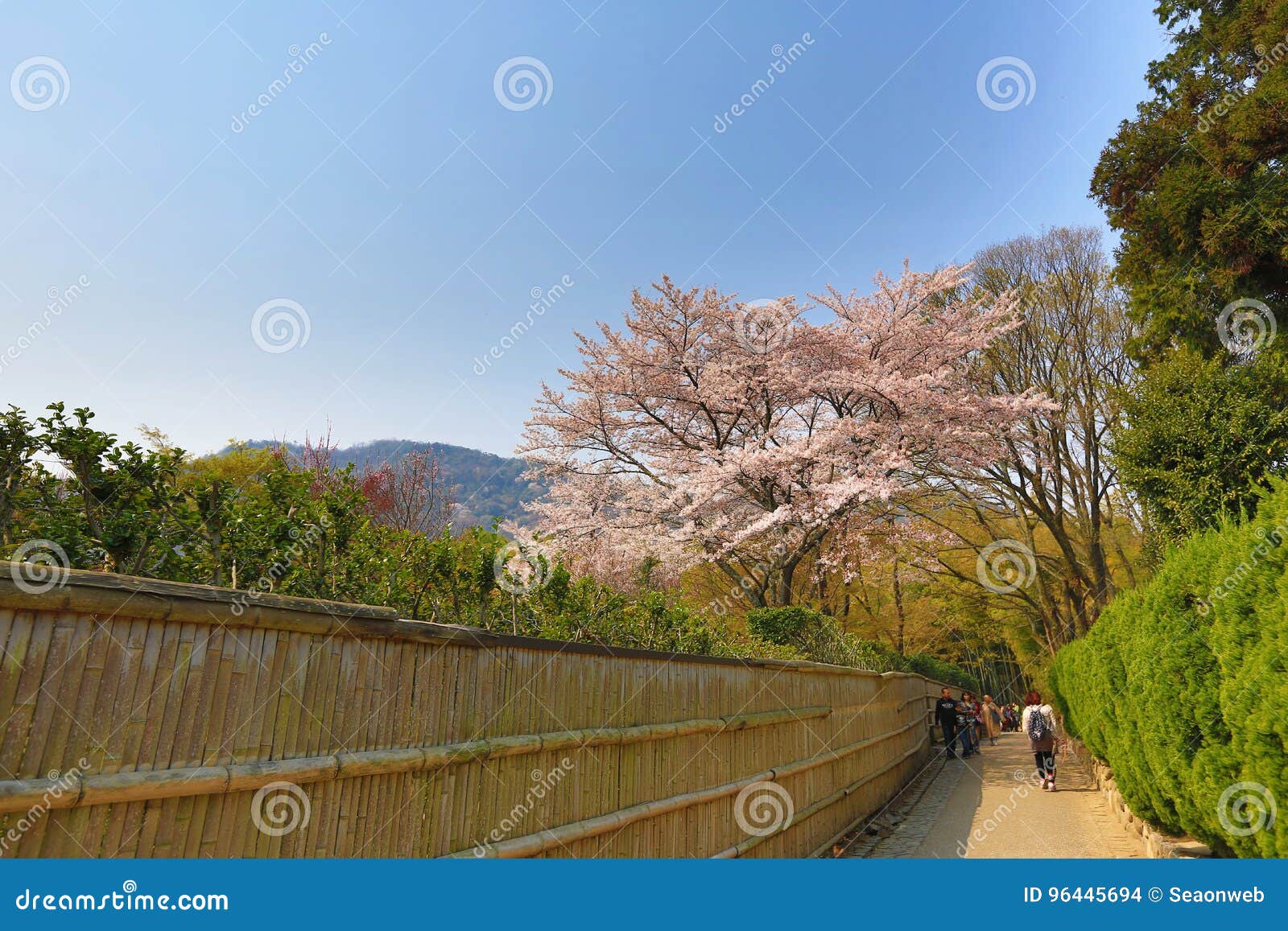Kyoto, Japan in the Spring at Editorial Stock Image - Image of fall ...