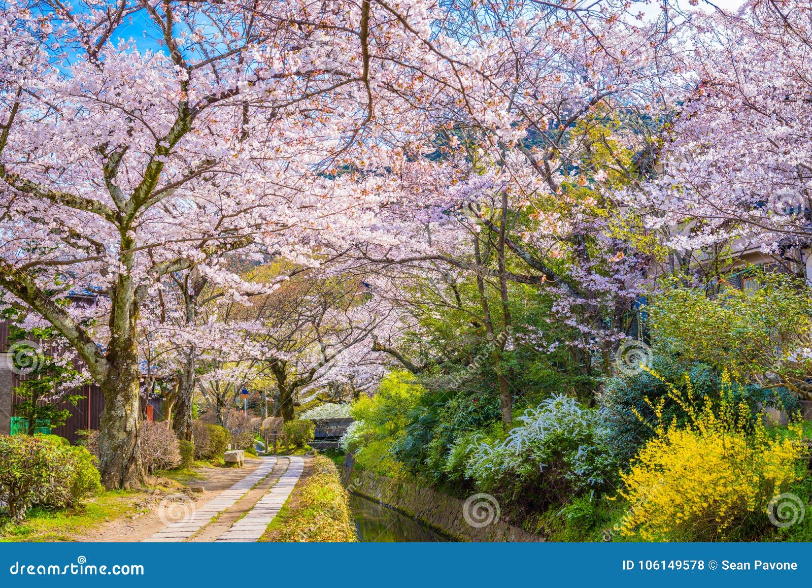 Kyoto, Japan in Spring stock photo. Image of nature - 106149578