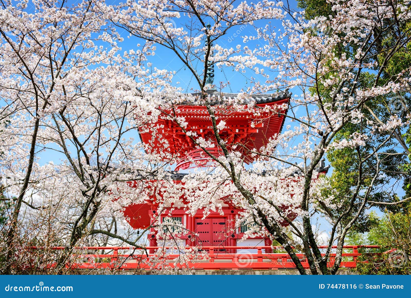 Kyoto Japan in Spring stock photo. Image of lake, pagoda - 74478116