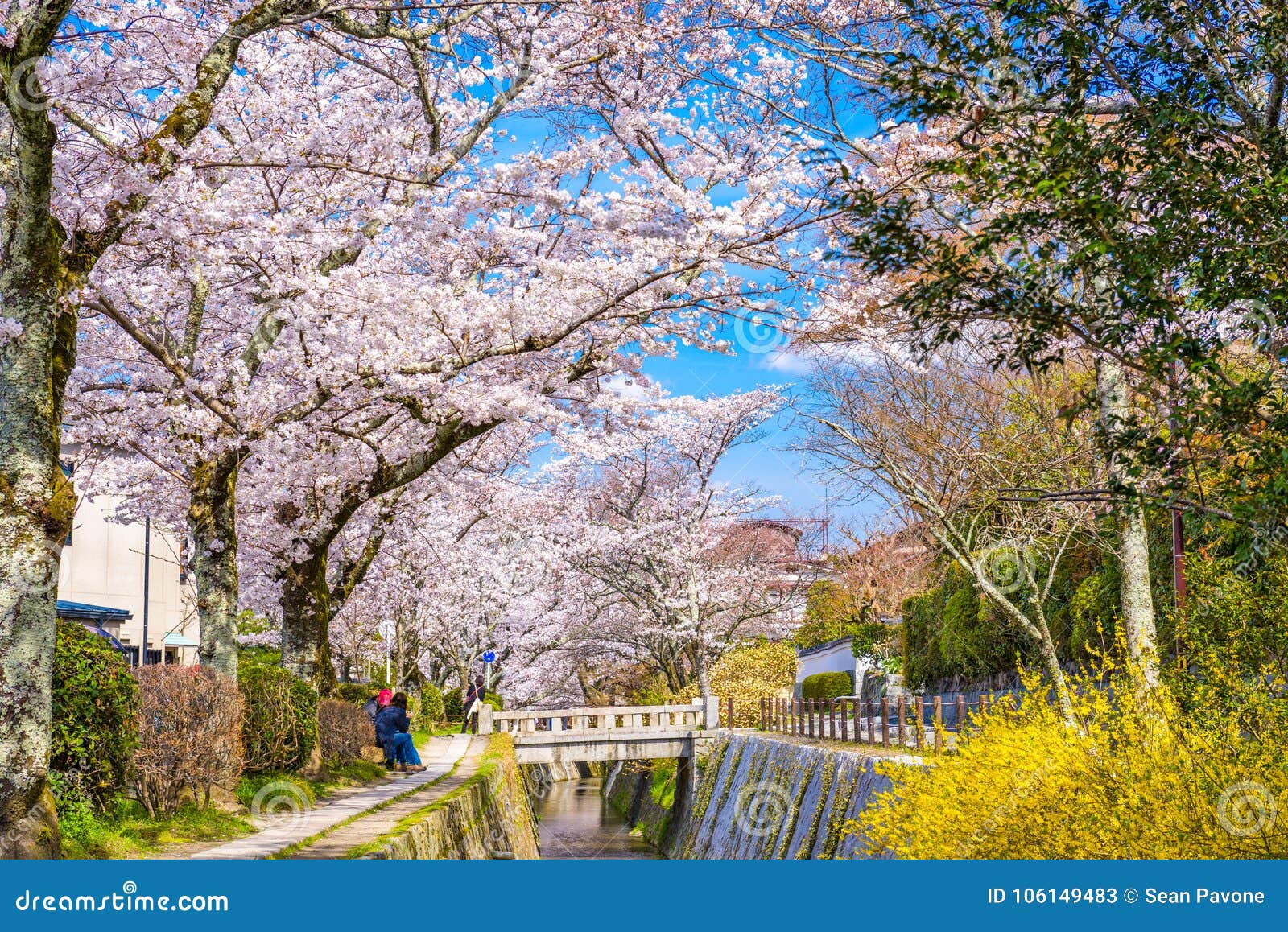 Kyoto, Japan in spring. editorial stock photo. Image of gaku - 106149483