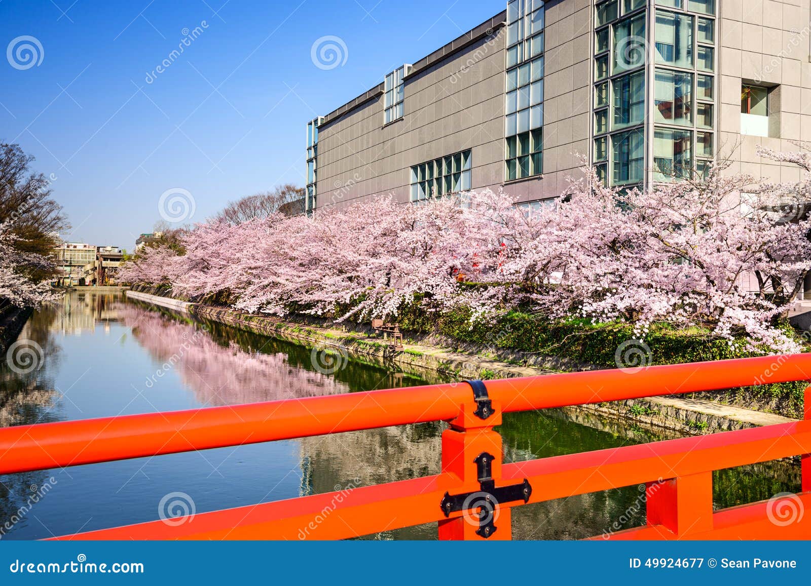 Kyoto, Japan in the Spring stock image. Image of cityscape - 49924677