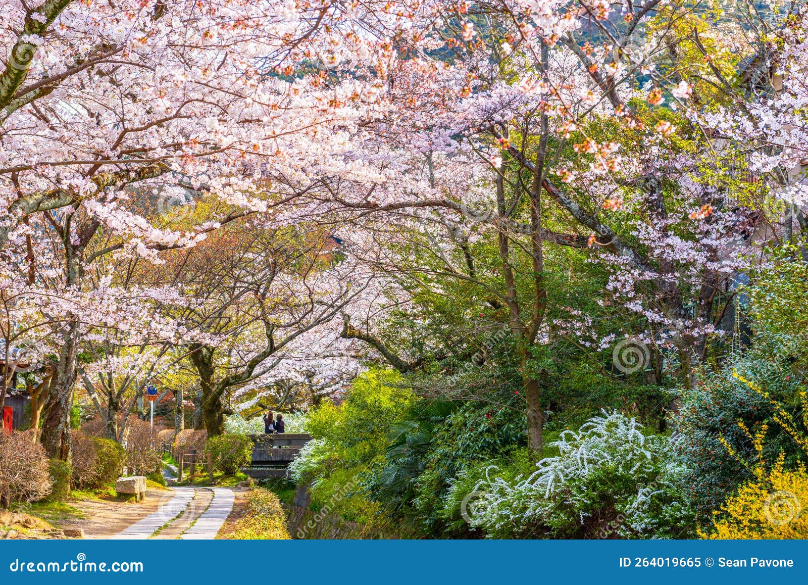 Kyoto, Japan Walking Trail in Spring Stock Image - Image of district ...