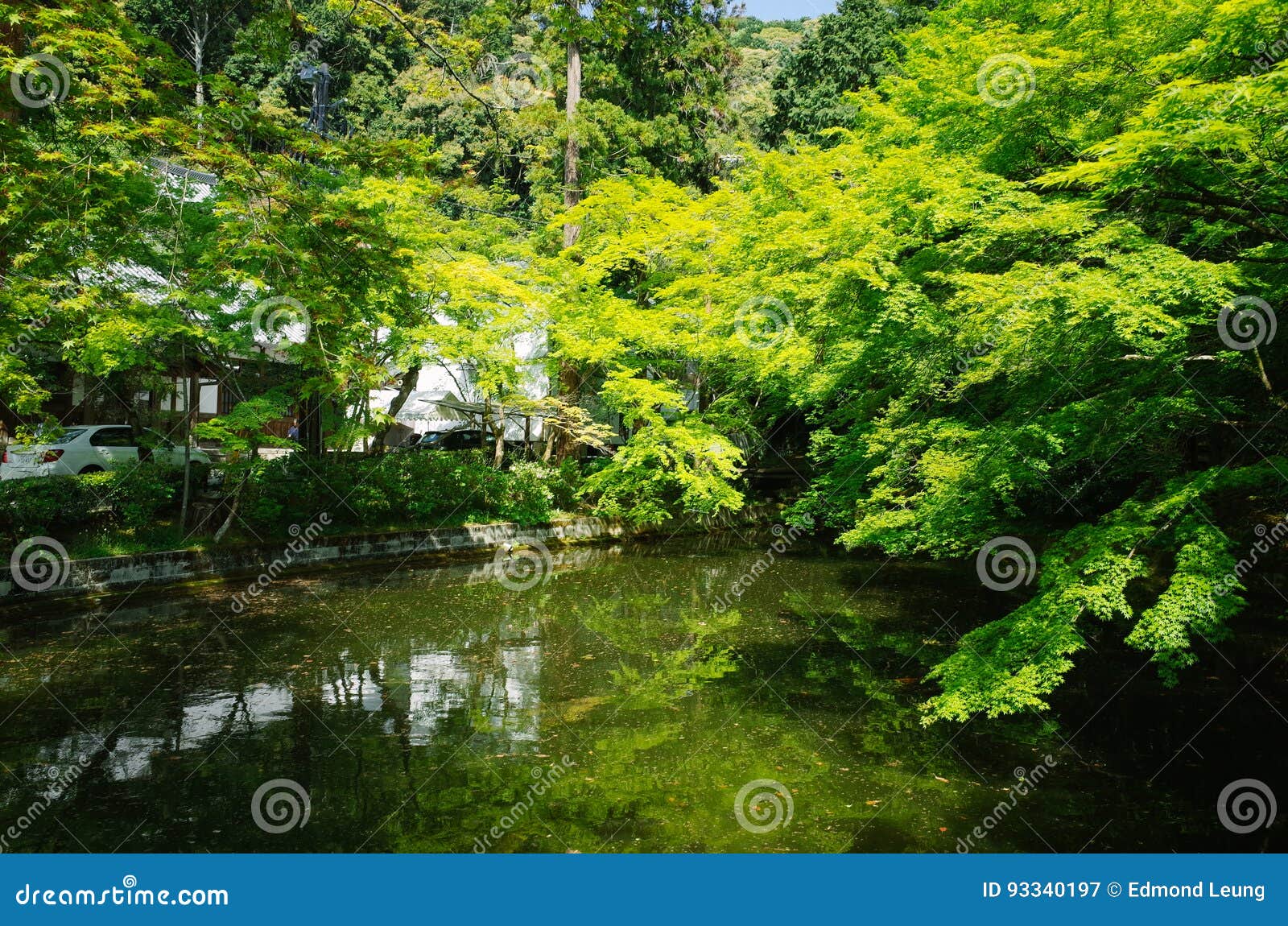 Kyoto Park stock image. Image of nature, tourism, leaf - 93340197