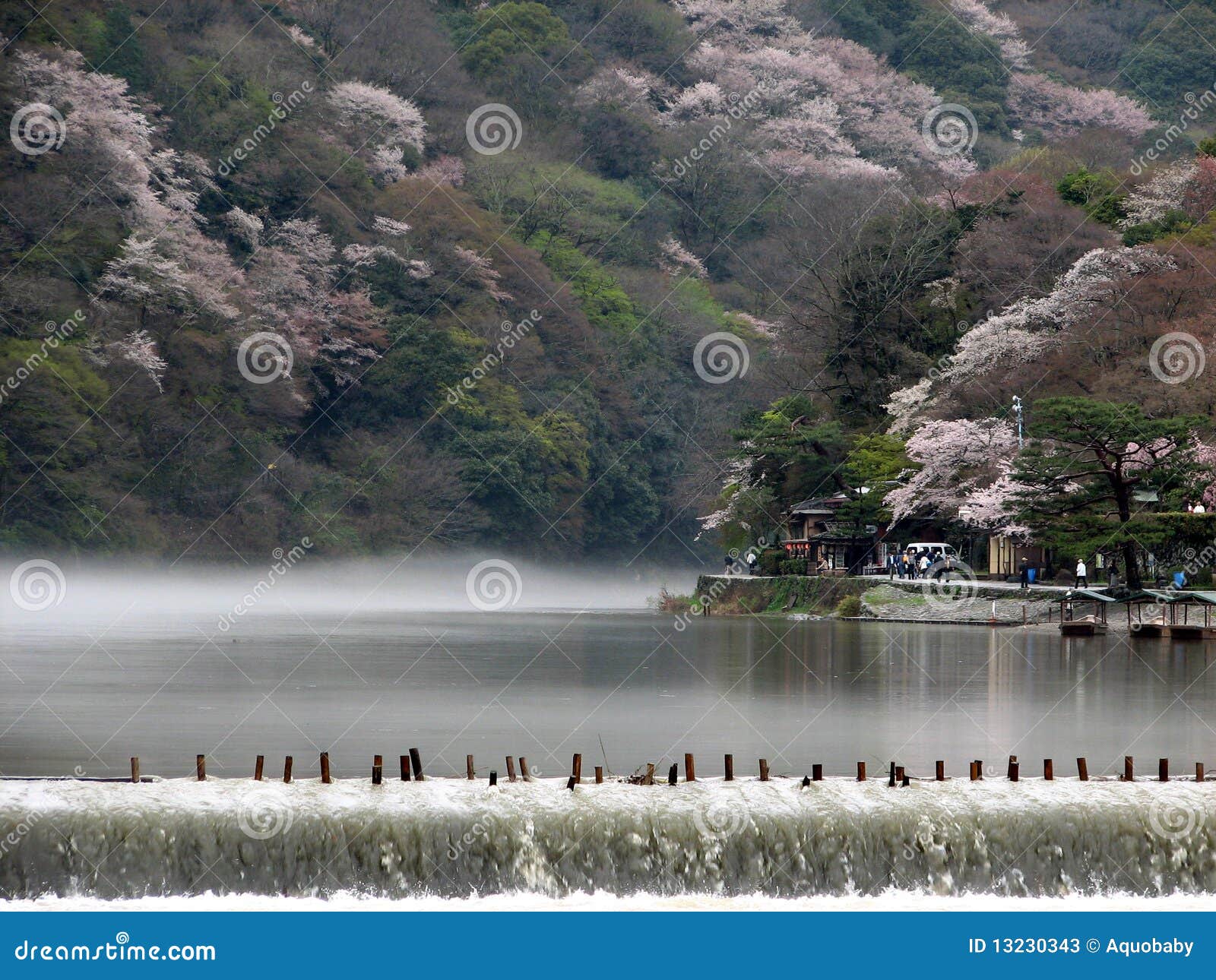 Kyoto Spring stock image. Image of kyoto, romantic, sakura - 13230343