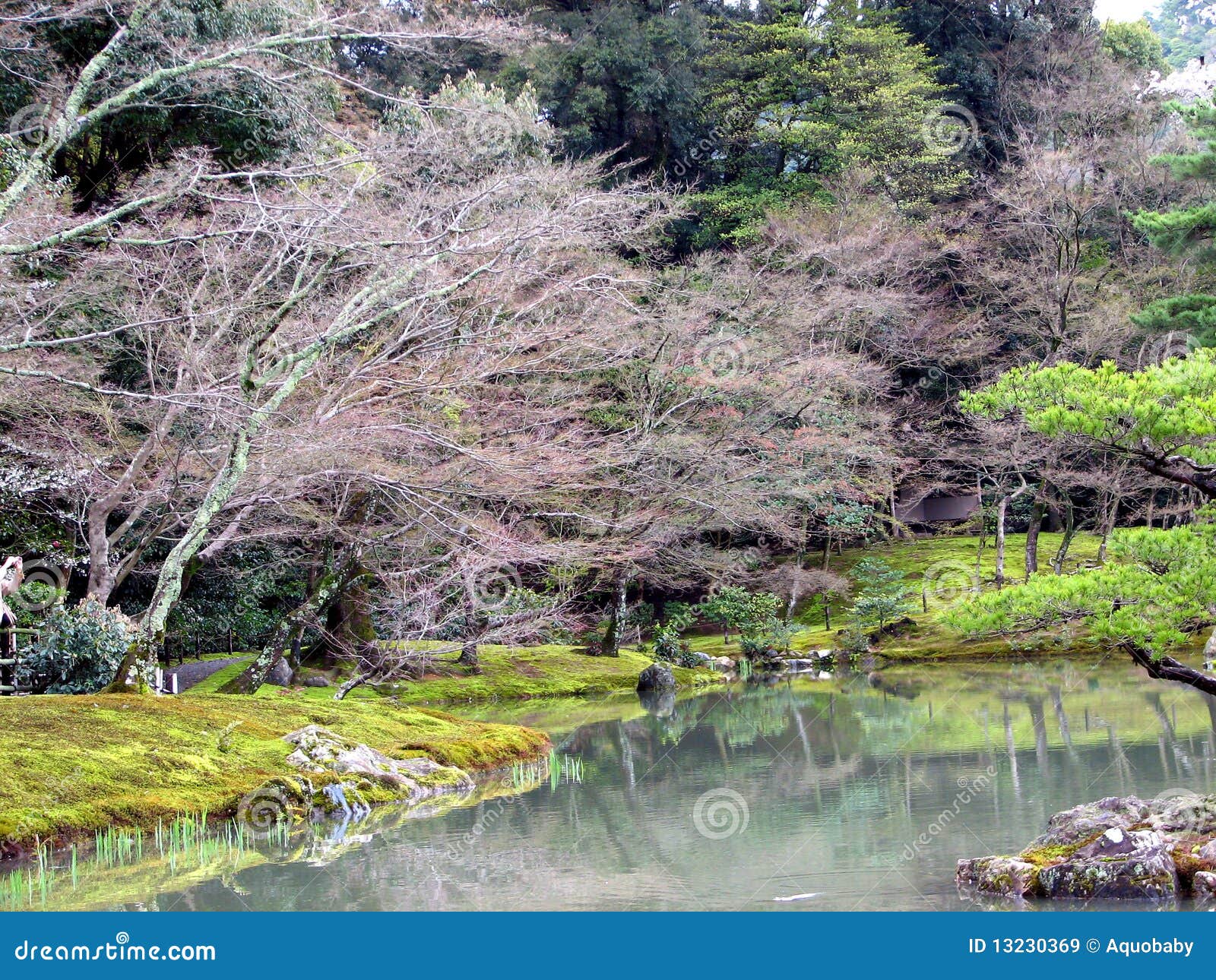 Kyoto Spring stock image. Image of color, romantic, lake - 13230369
