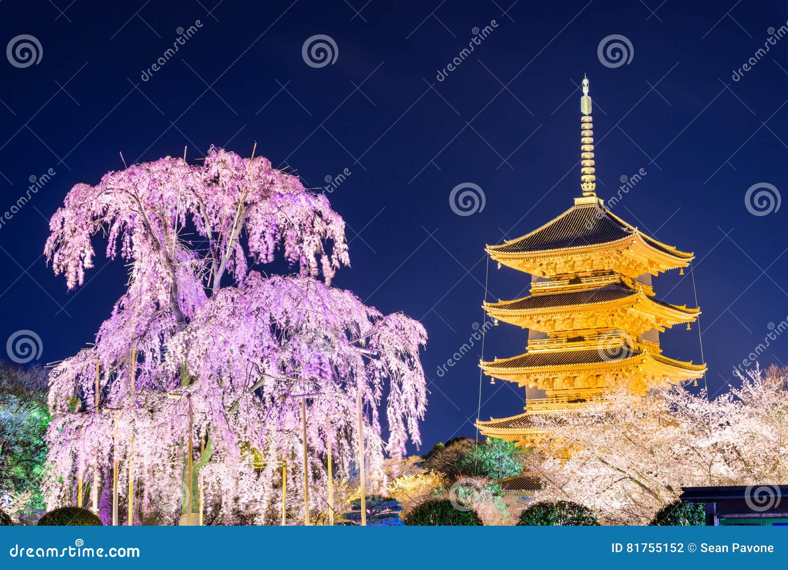Kyoto in Spring stock photo. Image of landmark, sakura - 81755152