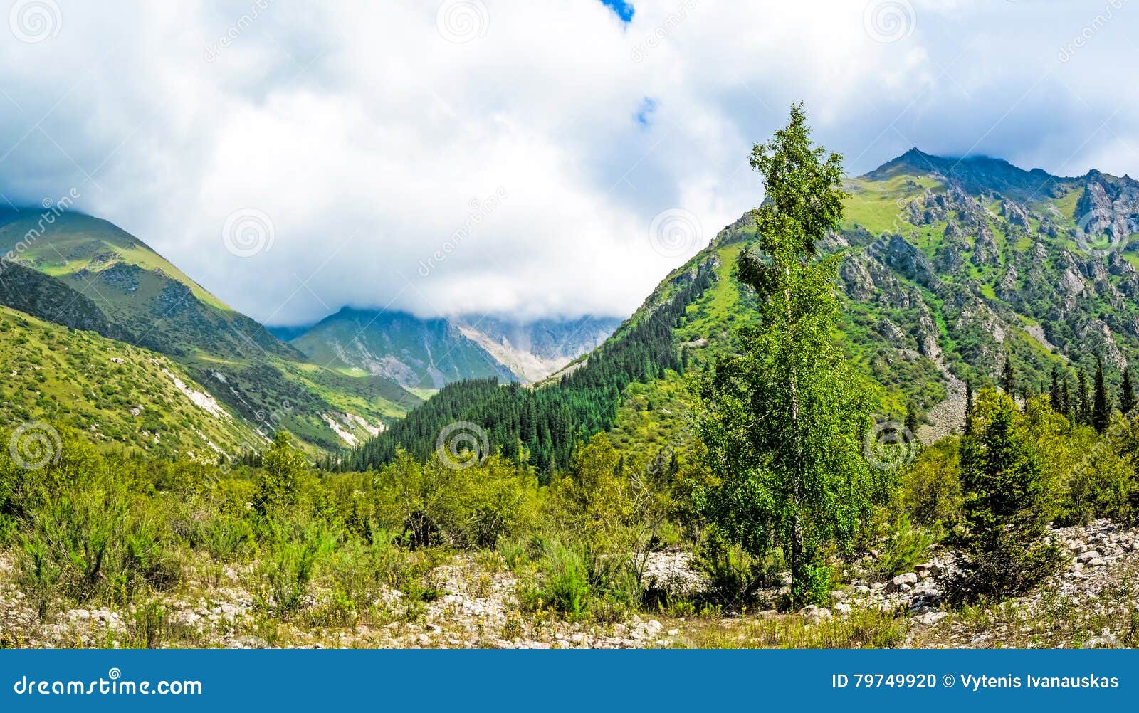 Kyrgyzstan Nature, Gregory Gorge Stock Photo - Image of color ...