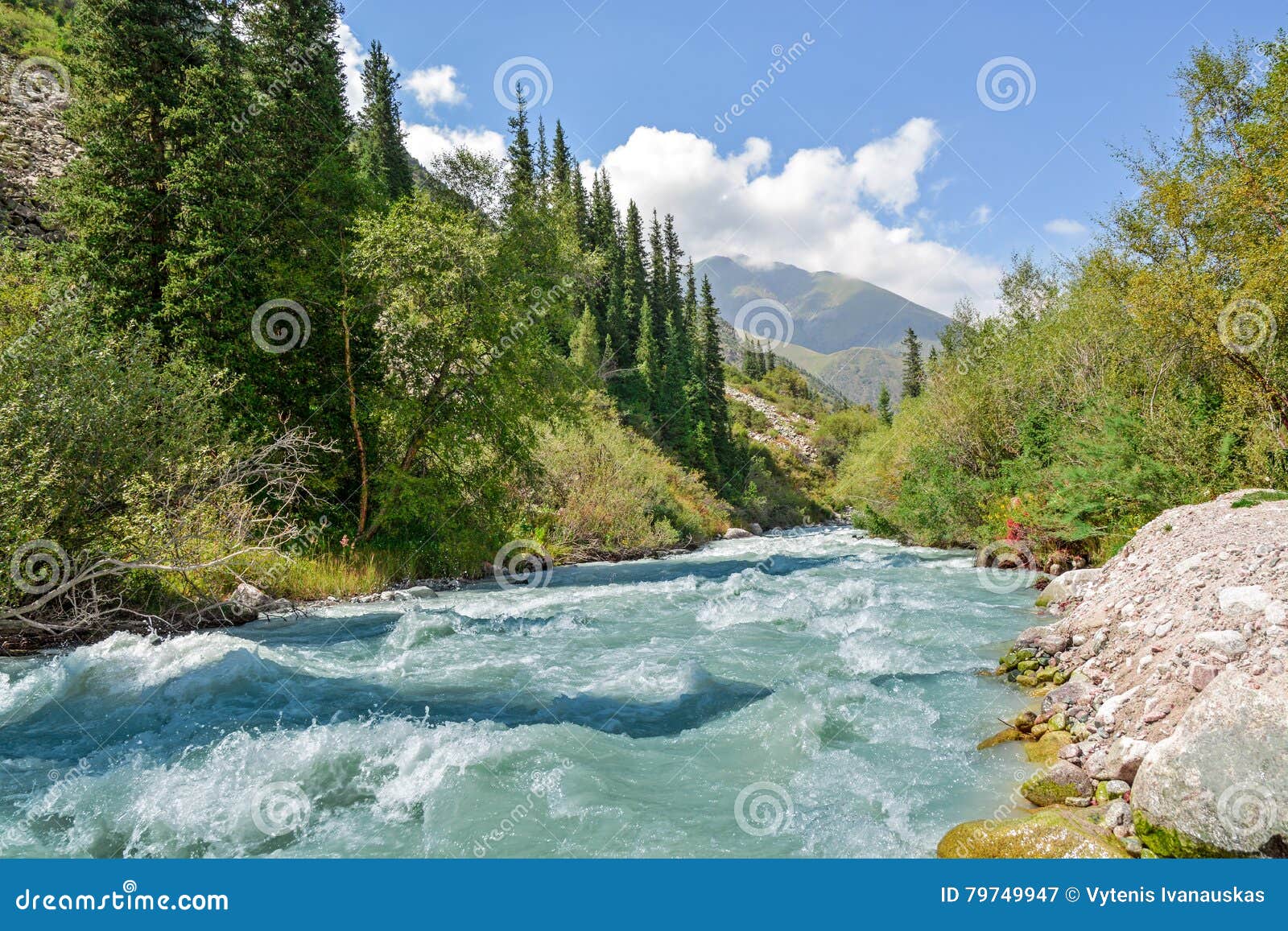 Kyrgyzstan Nature, Gregory Gorge Stock Image - Image of hiking, range ...