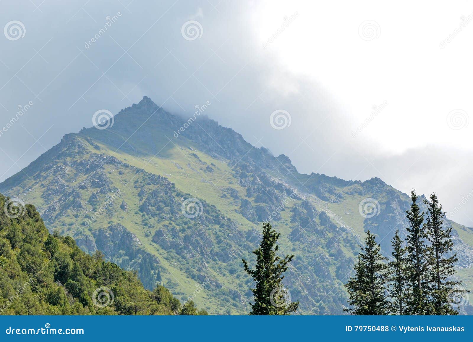 Kyrgyzstan Nature, Gregory Gorge Stock Photo - Image of frame, nature ...