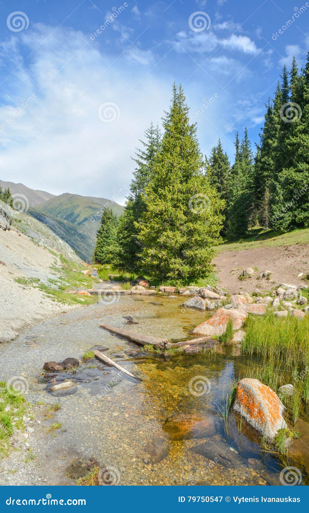 Kyrgyzstan Nature, Gregory Gorge Stock Image - Image of asia, rock ...