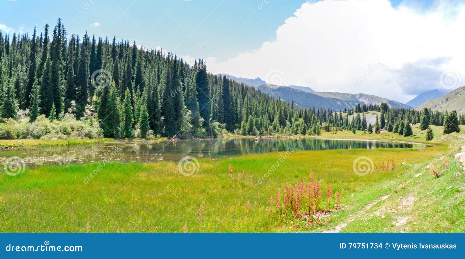 Kyrgyzstan Nature, Gregory Gorge Stock Photo - Image of area, central ...