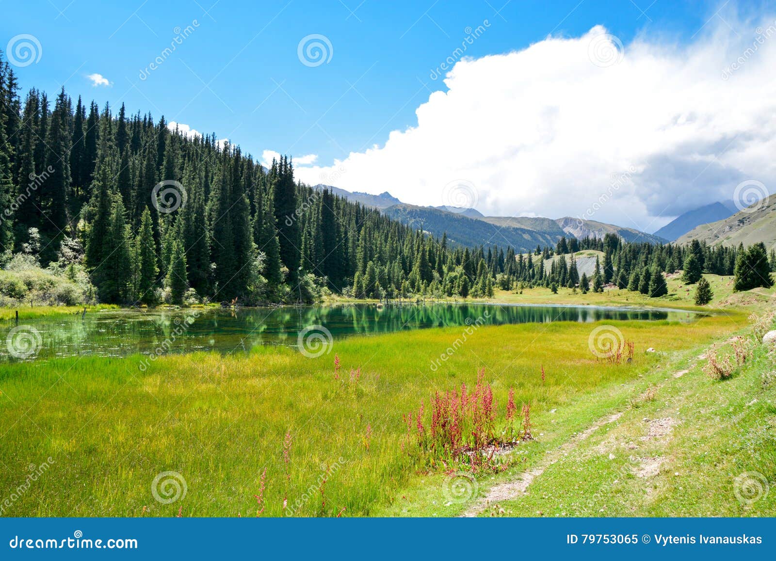 Kyrgyzstan Nature, Gregory Gorge Stock Image - Image of mountains ...