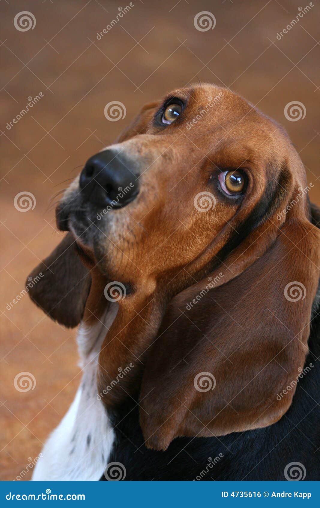 Lánguido foto de archivo. Imagen de giratorio, pista, honestidad - 4735616