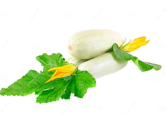 Légume blanc photo stock. Image du charnu, objet, demi - 23041482