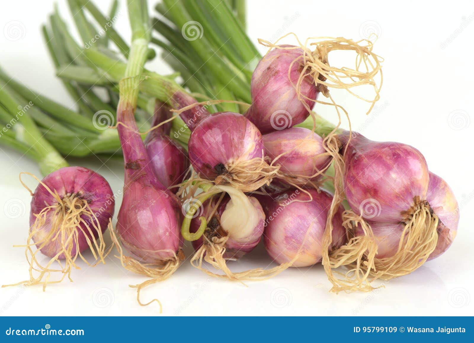 Légume vert d'échalote image stock. Image du ayez, denrée - 95799109
