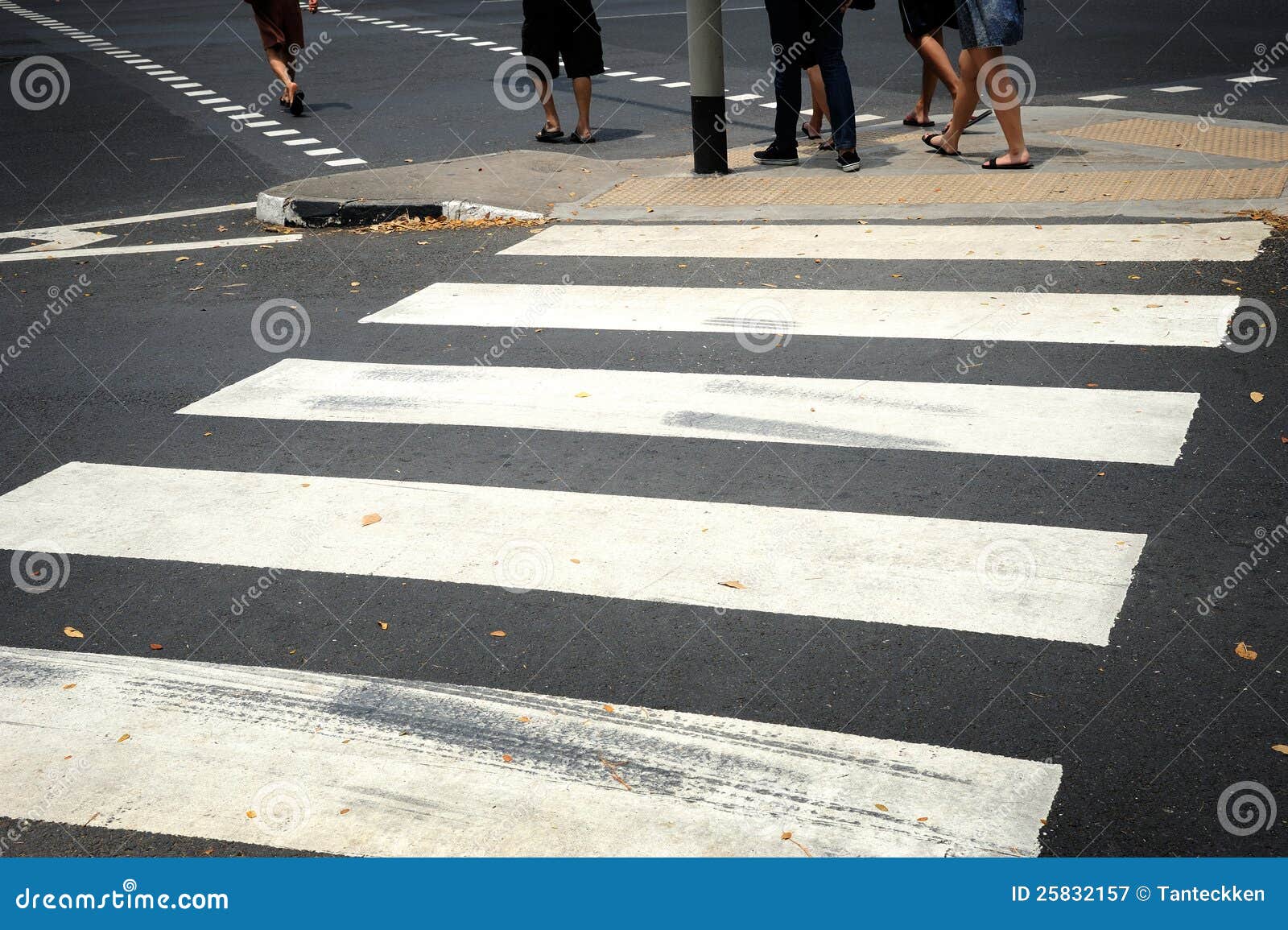 Línea Del Paso De Peatones De La Cebra Imagen de archivo - Imagen de ...