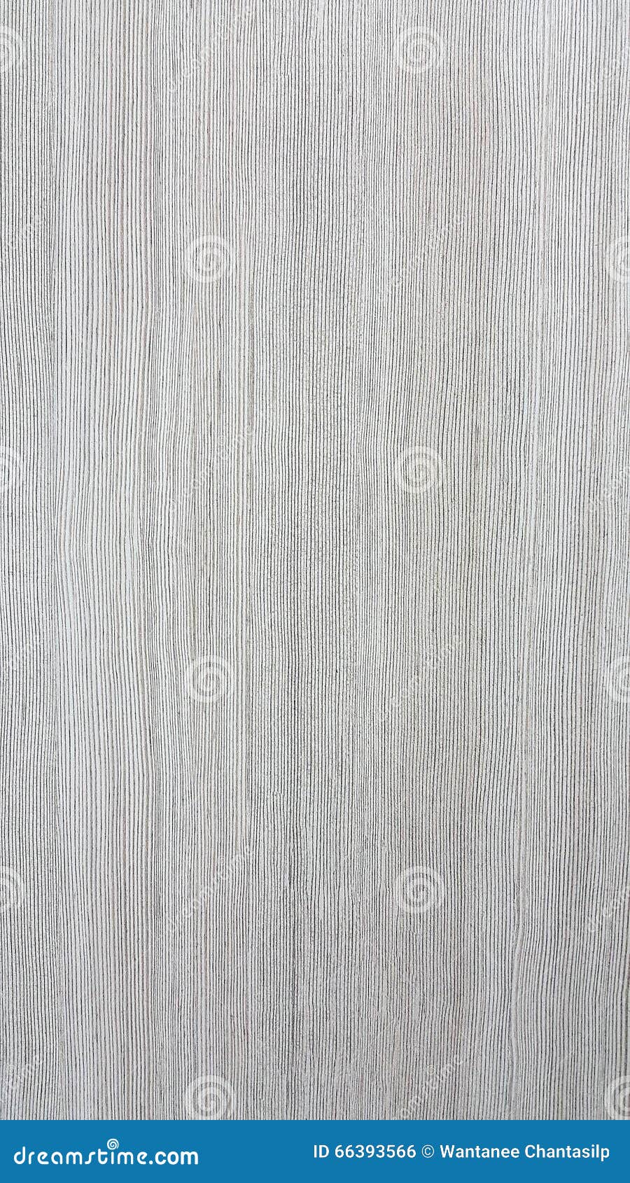 Línea gris vertical fondo foto de archivo. Imagen de suelo - 66393566