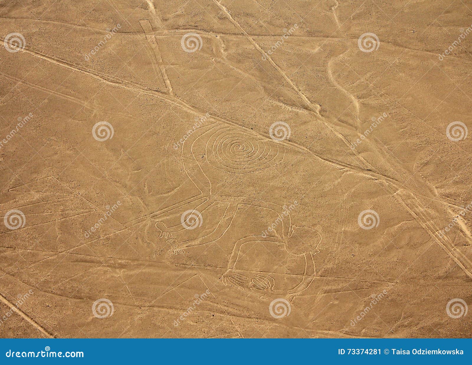 Líneas de Nazca - mono imagen de archivo. Imagen de aéreo - 73374281