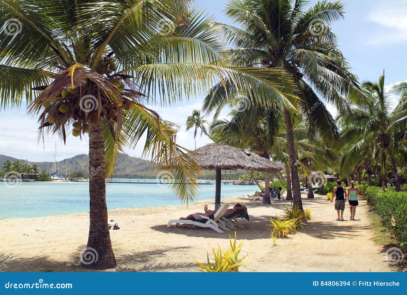 L'île fidji image stock éditorial. Image du plantation - 84806394