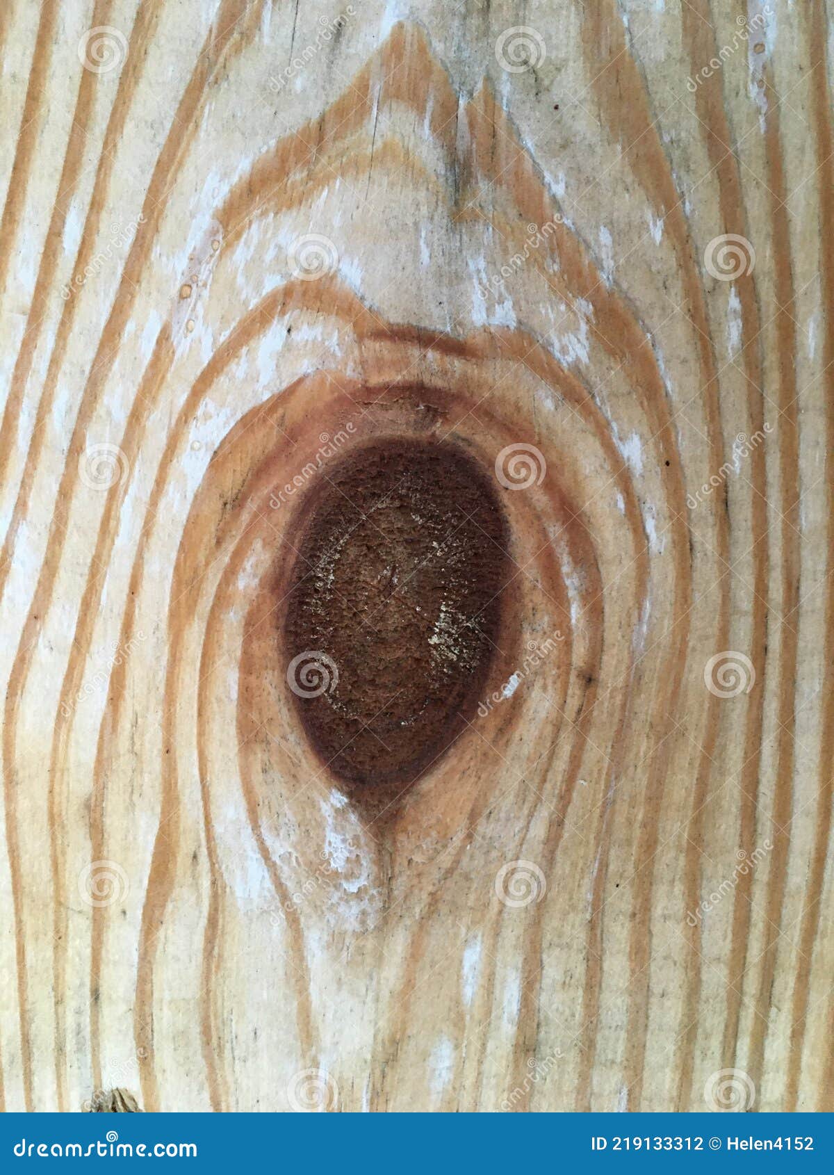 Large Knothole in Wooden Board Stock Photo - Image of center, knothole ...