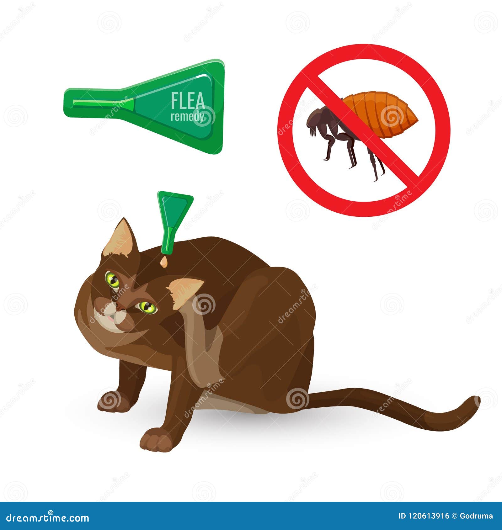 L'affiche De Remède De Puce Avec Le Titre Et Le Chat Dirigent L ...