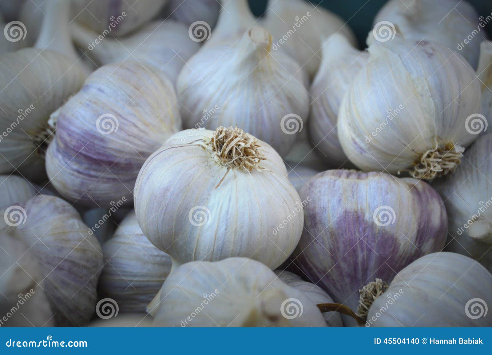 L'ail Frais D'ampoules Dirige Trois Photo stock - Image du jardinier ...